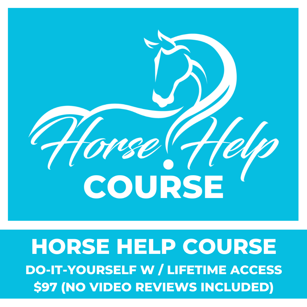 Free Horse Help Course - DIY