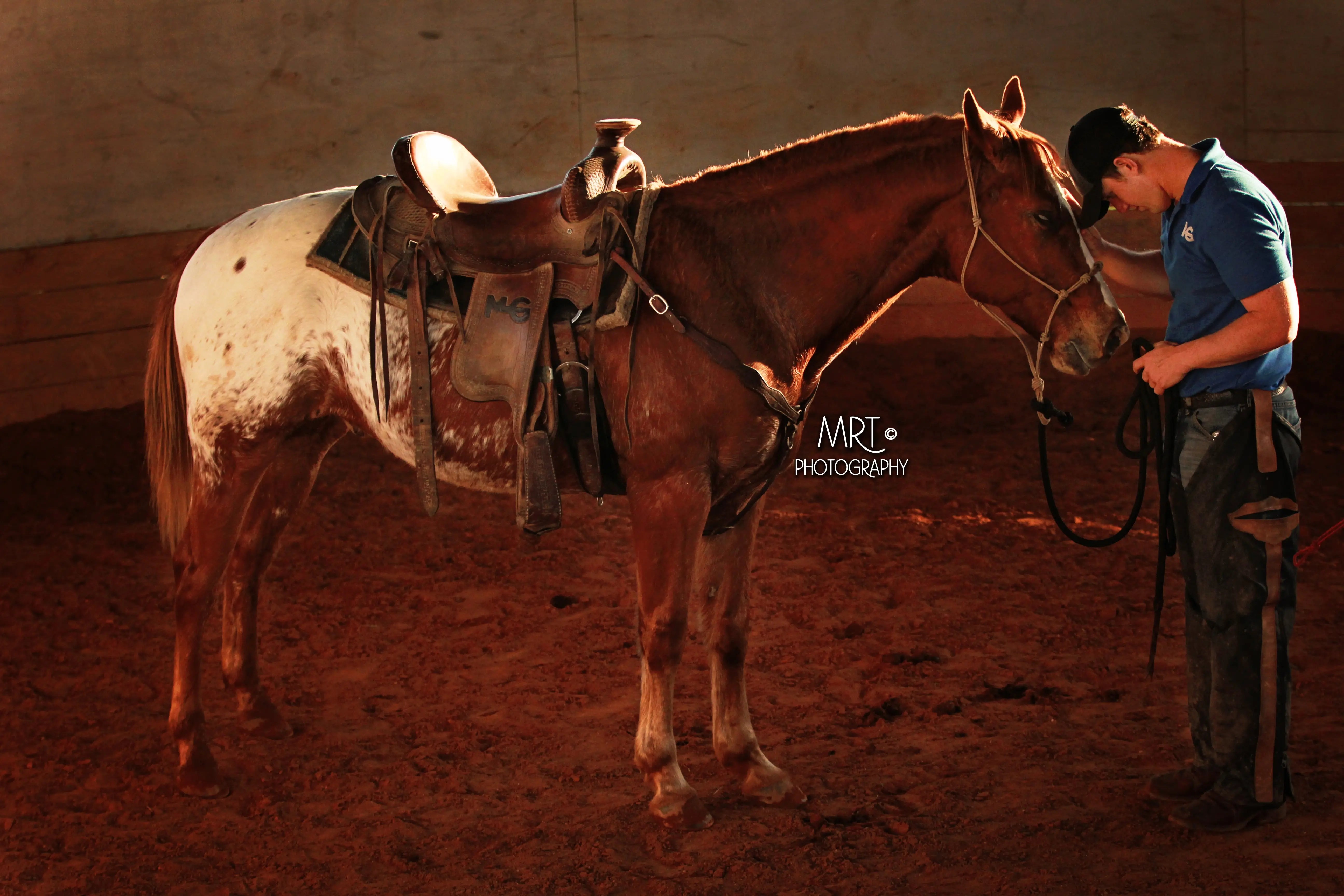 Essential Horse Training Techniques: Communication, Respect, and Safety ...
