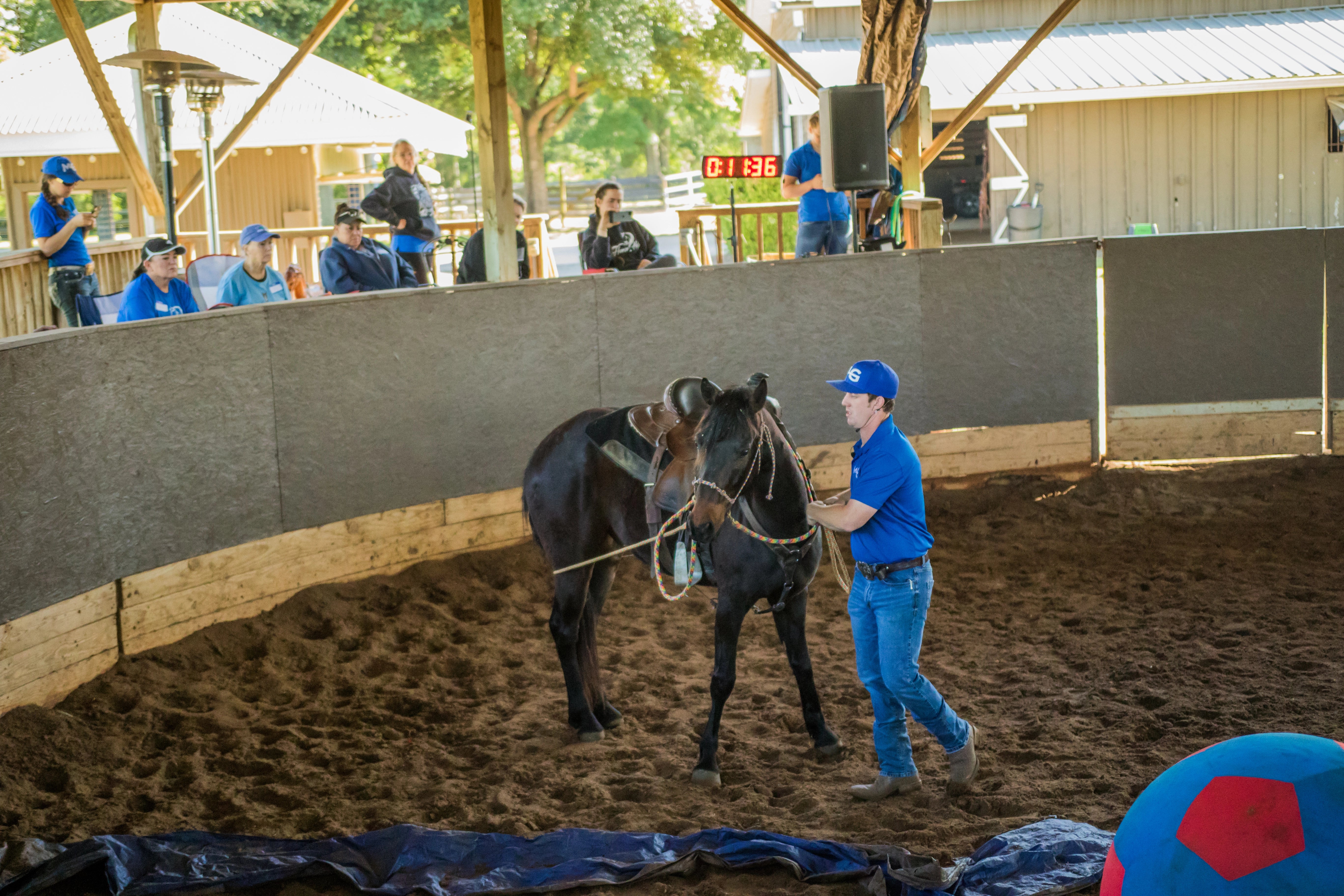 Garrocha Pole Horseback: Mastering Horse Training with the Garage Stick ...