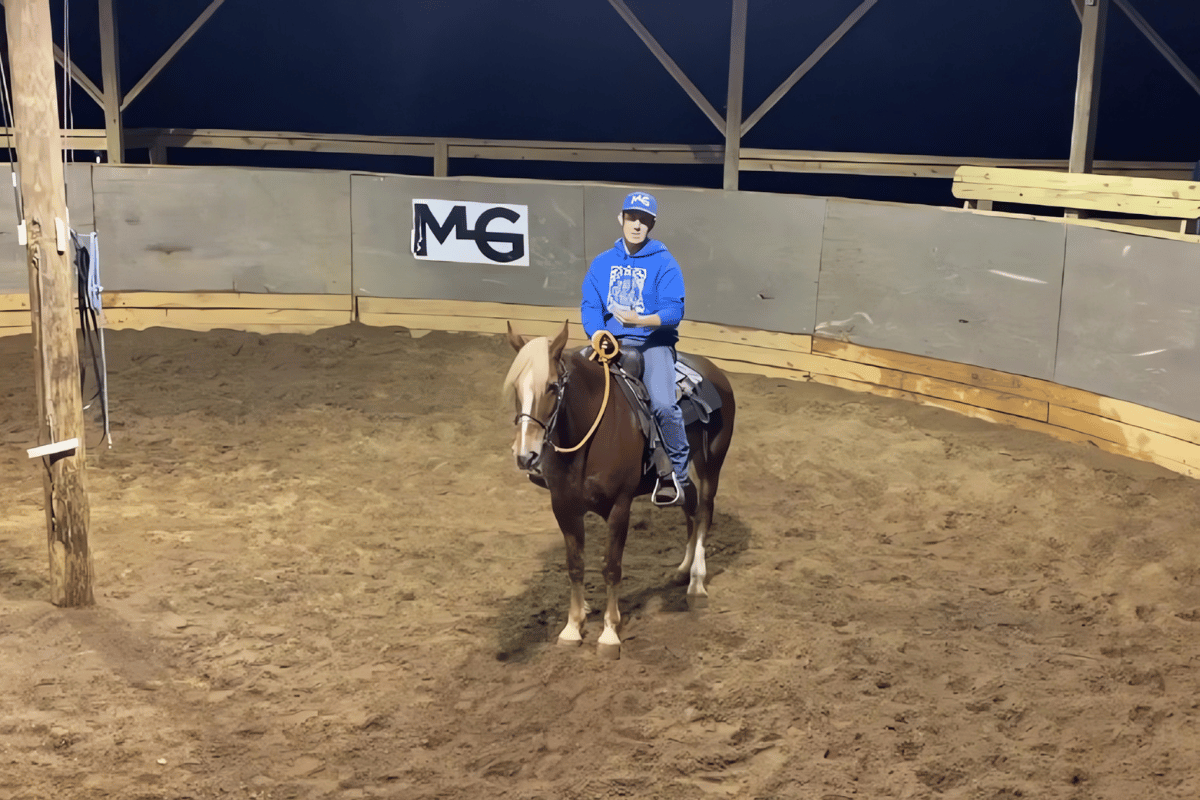 Mastering Rollbacks: A Key Tool for Problem Horses – Horse Help