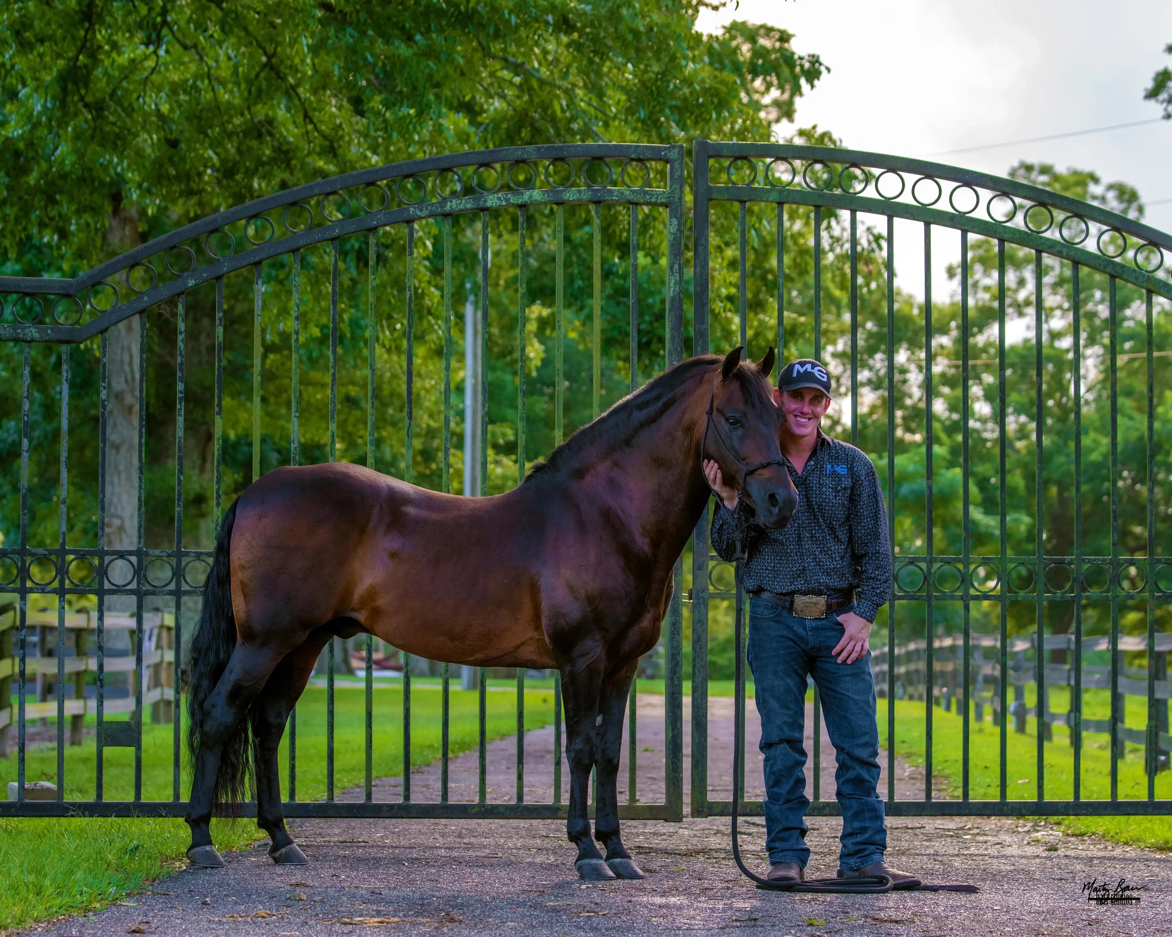 Tying The Knot On The MG Rope Halter – Horse Help