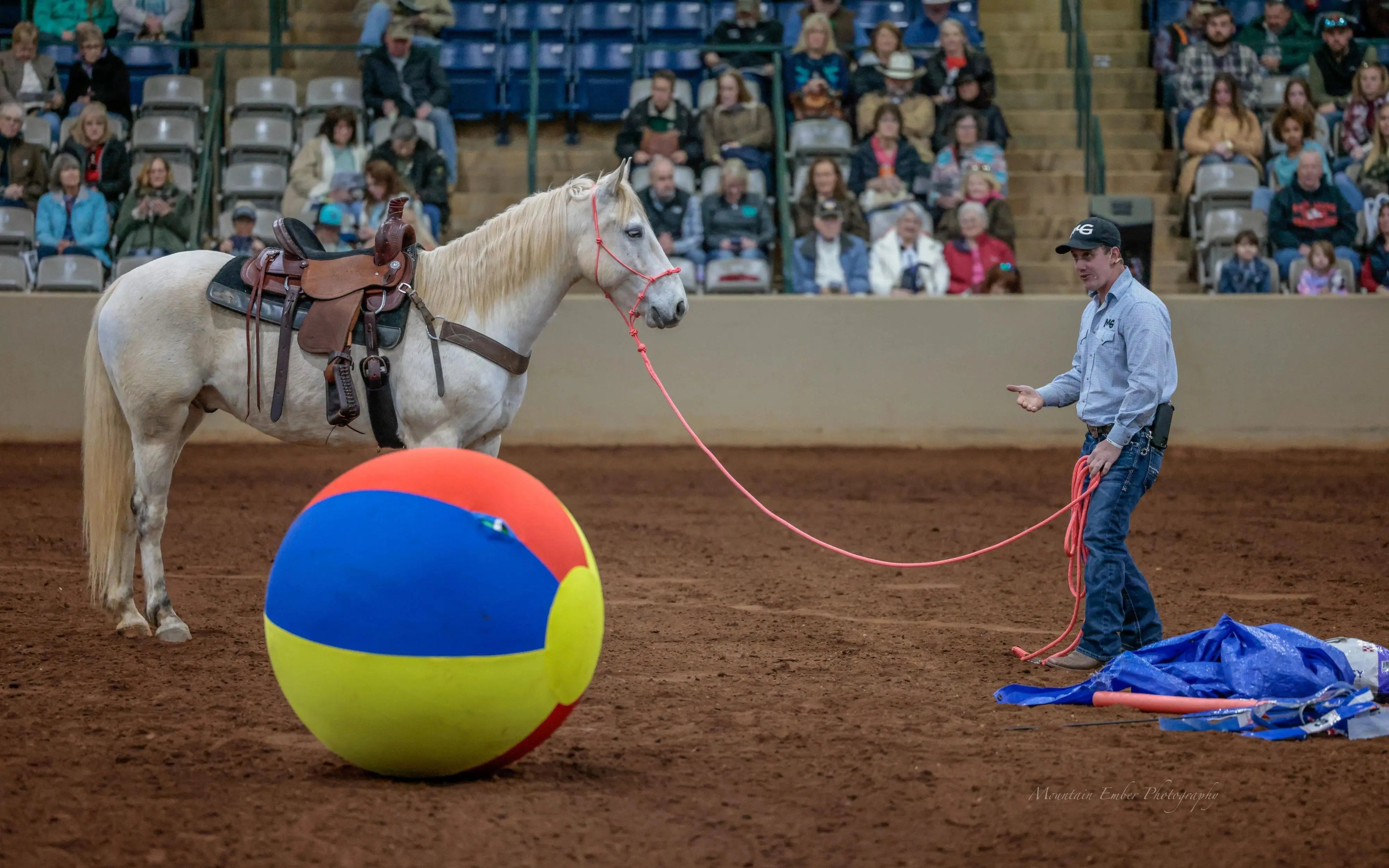Mastering Horse Training with Michael Gascon – Horse Help