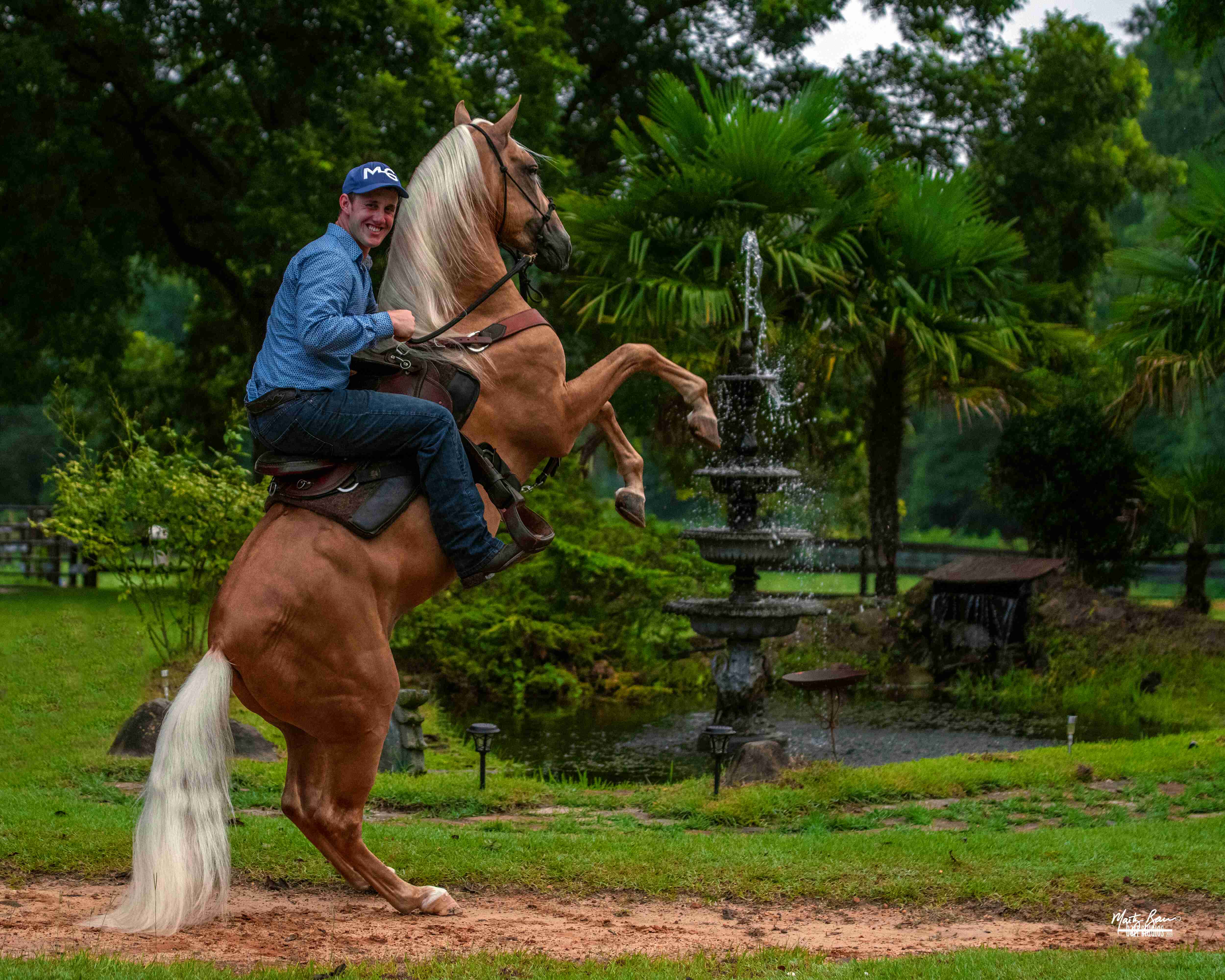 Control the Head, Control the Horse: A Guide to Better Training – Horse ...