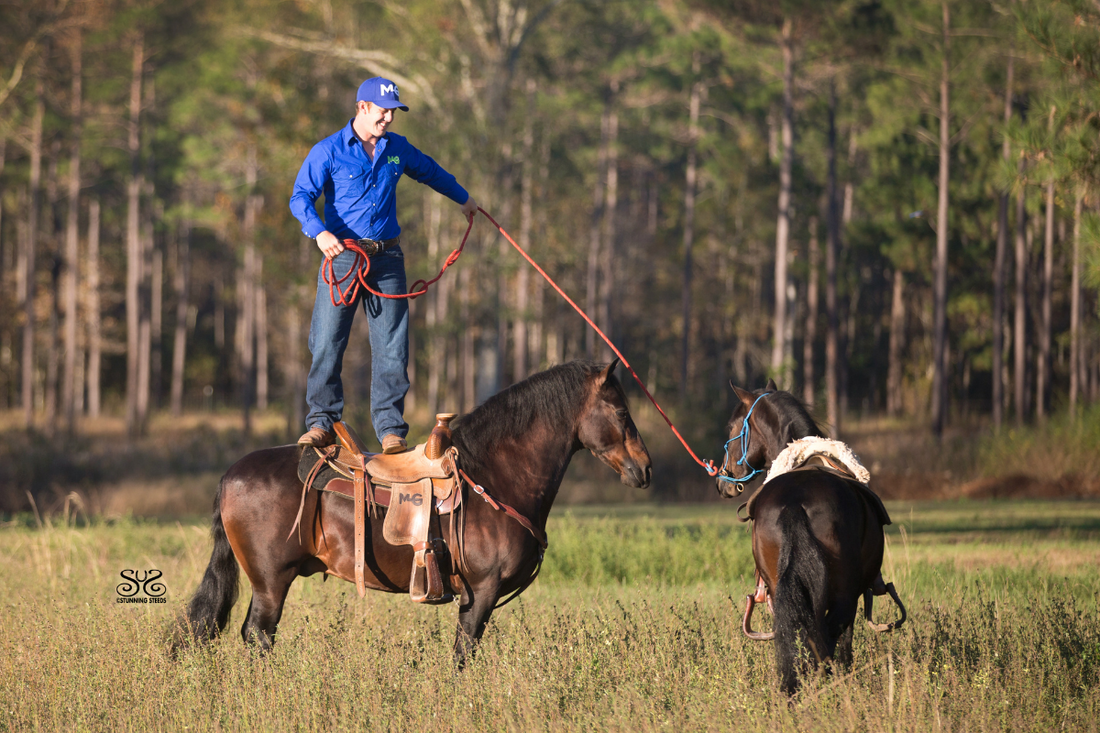 Ponying A Horse – Horse Help