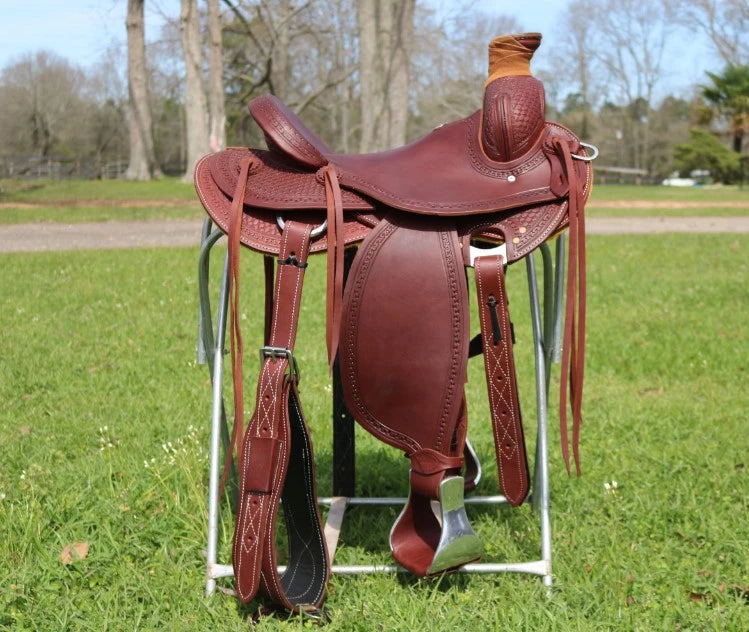 Benefits Of The Keister Holder Saddle – Horse Help