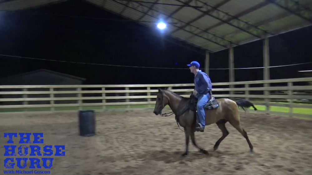 Cantering Gaited Horses – Horse Help