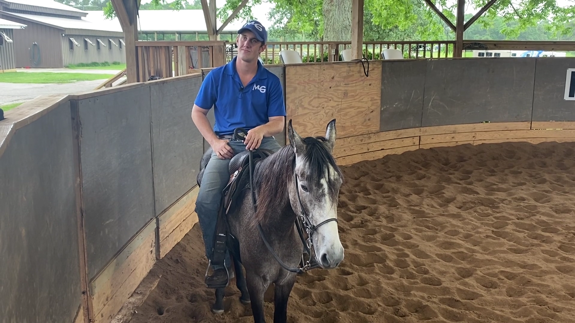 Gaiting For The First Time – Horse Help