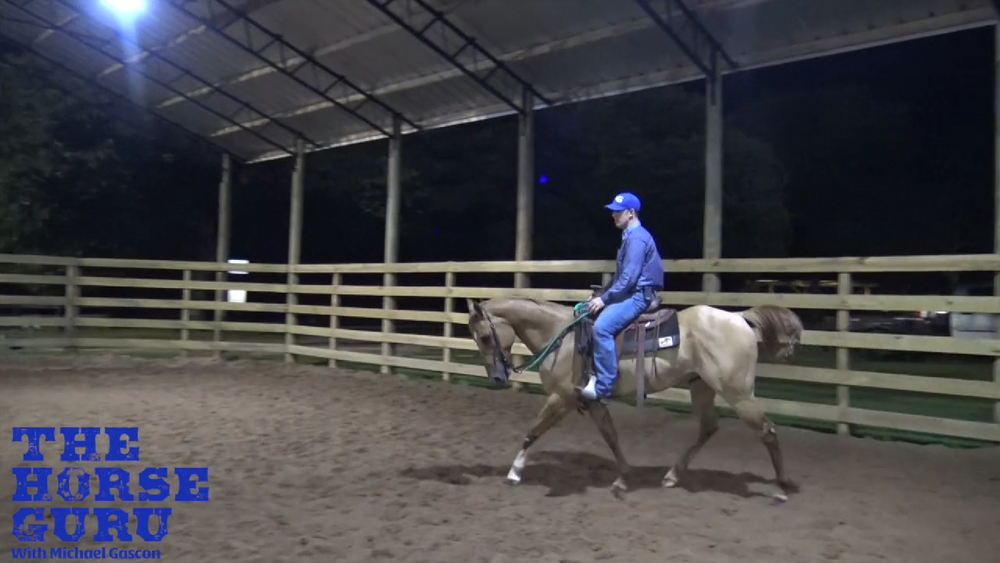 Getting A Better Stop – Horse Help