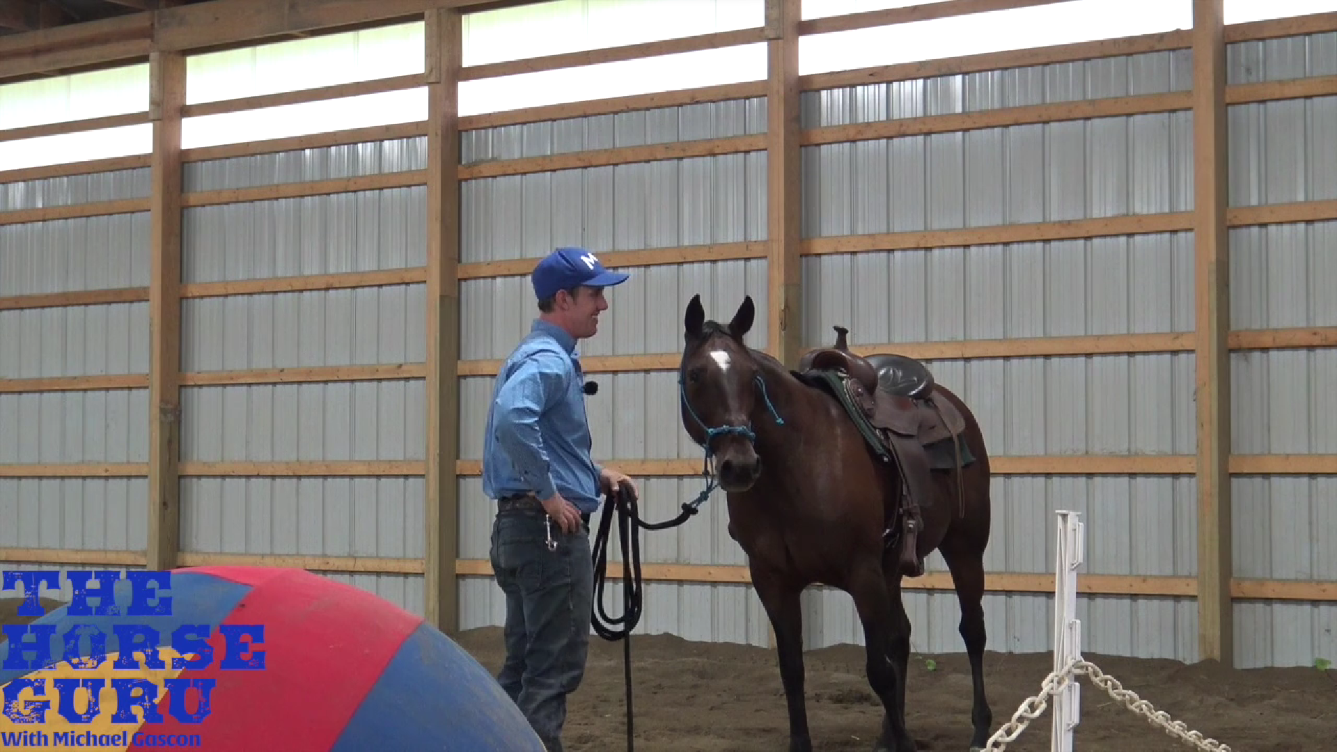 Getting Your Horse's Attention With Belle Day 1 – Horse Help