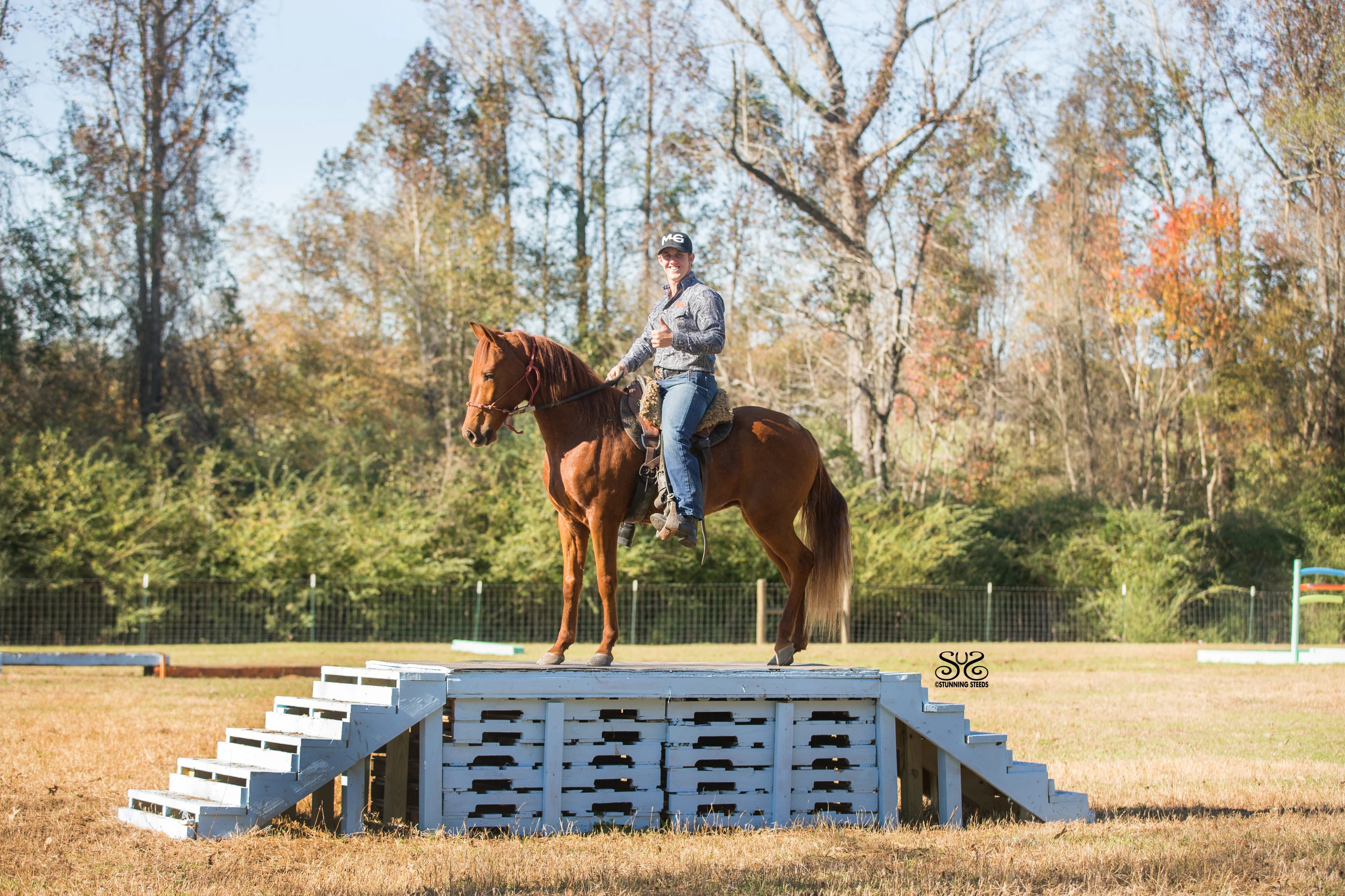 Mastering Bridge And Stair Obstacles – Horse Help
