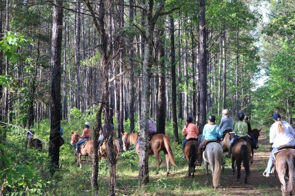 Riding in a Group: How to Prepare Your Horse for the Trail – Horse Help