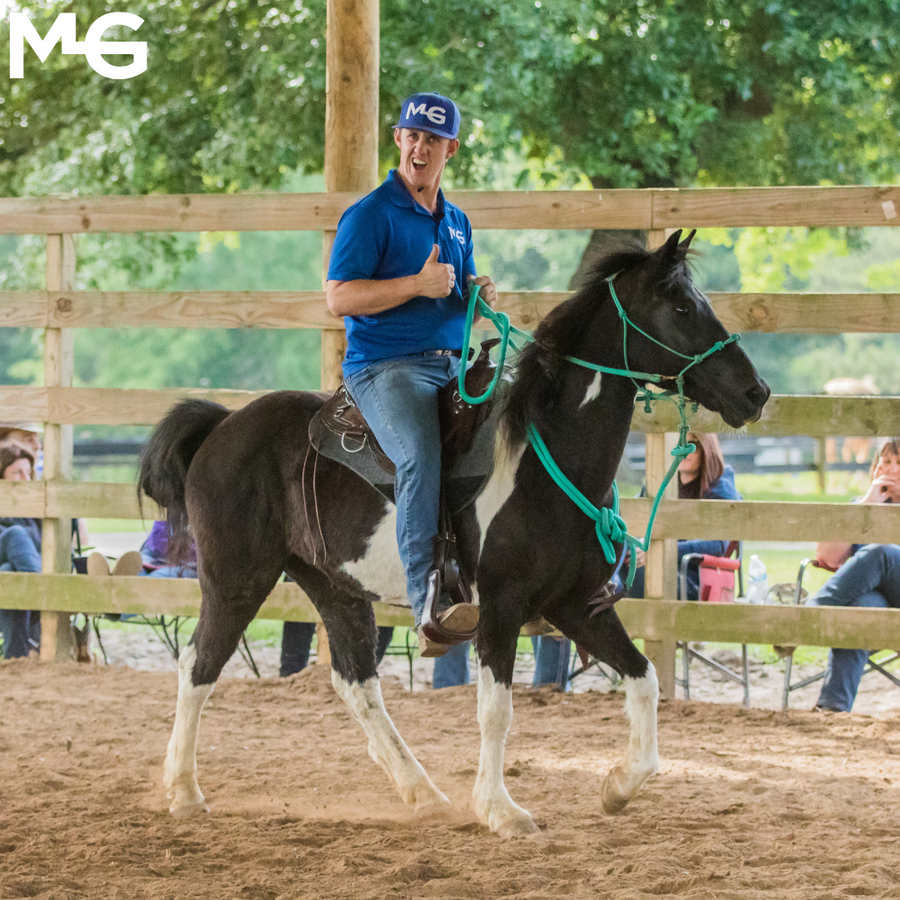 30-Day Horse Help Challenge: Transform Your Horse
