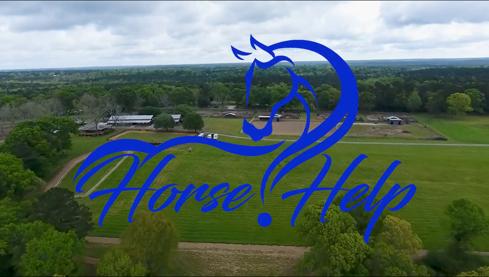 Horse Help Store | For lessons, tack, and training.