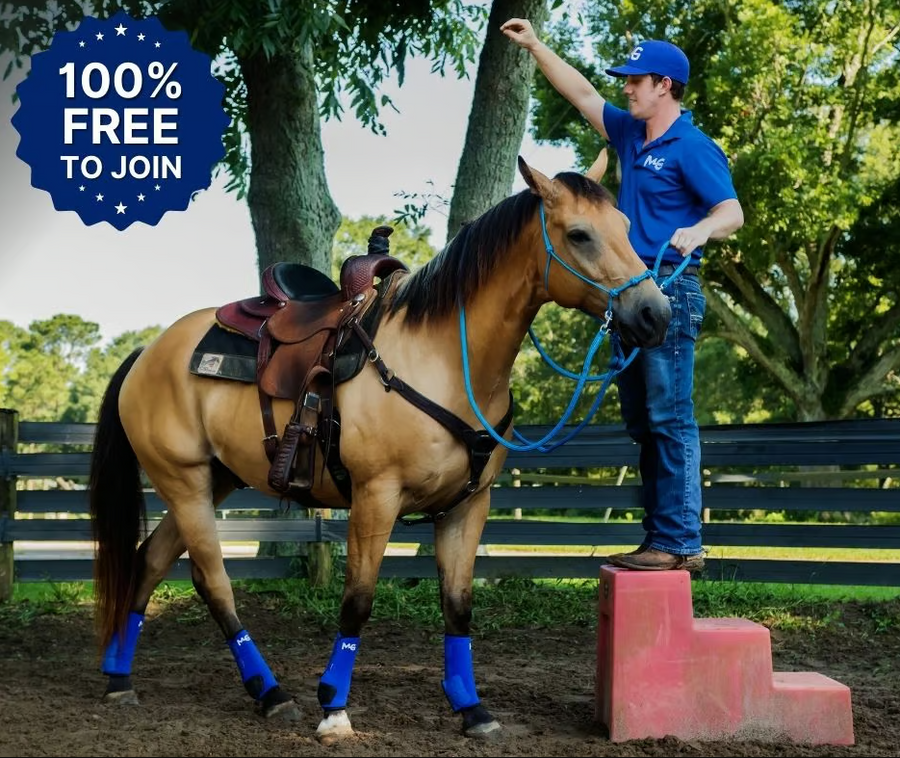 30-Day Horse Help Challenge: Transform Your Horse