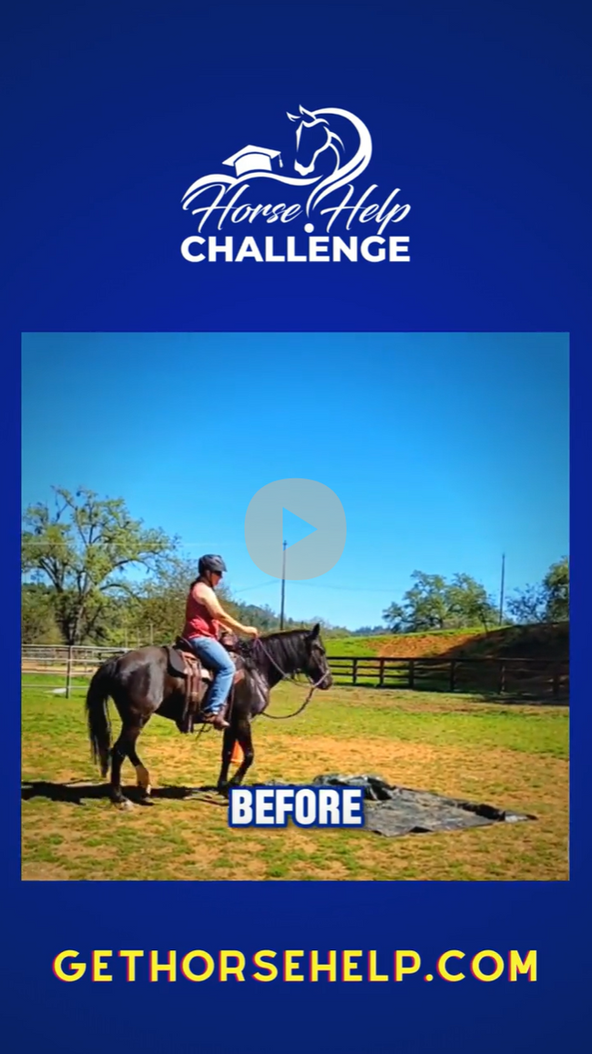30-Day Horse Help Challenge: Transform Your Horse
