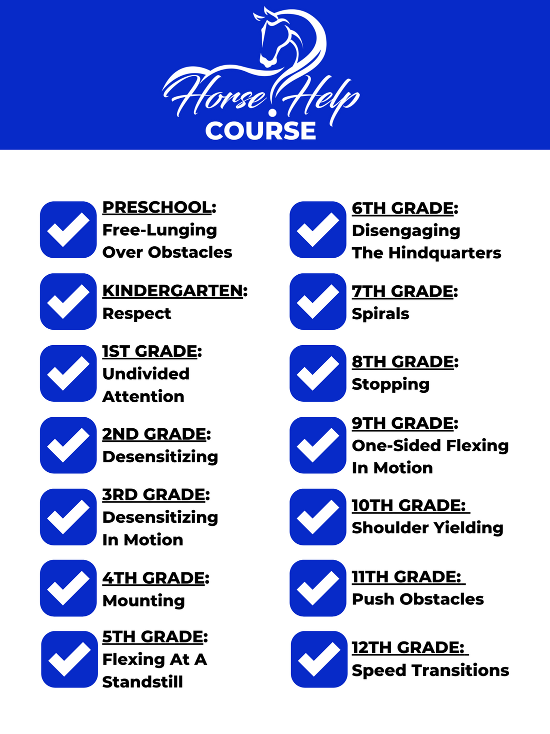 Affordable Horse Training Solutions for Every Budget – Horse Help