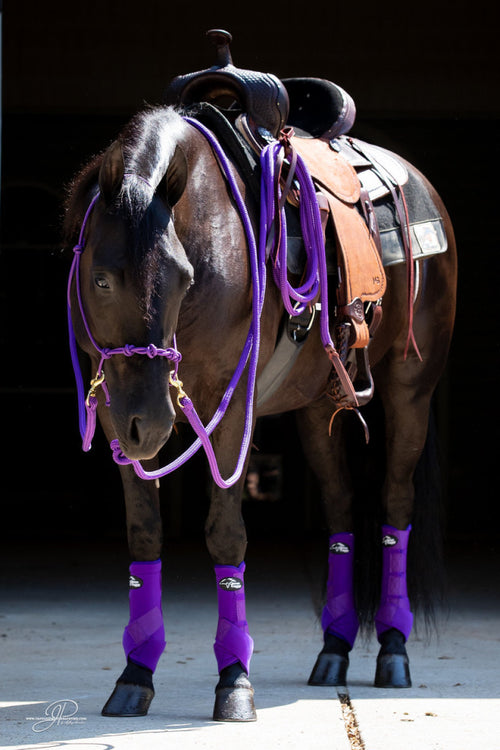 Tack & Training Aids – Horse Help